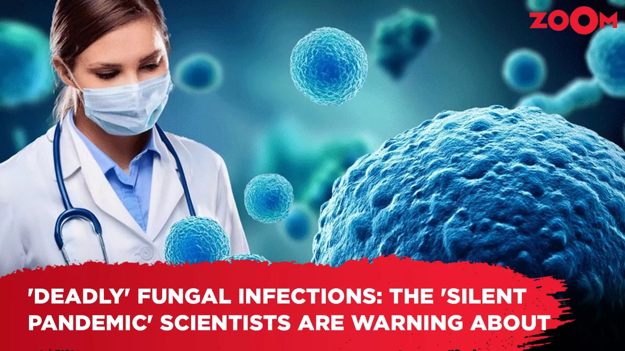 'Deadly' fungal infections: The 'silent pandemic' scientists are ...