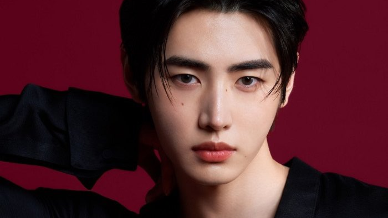 ENHYPEN's Sunghoon Joins Han So-Hee As L'Oreal Paris' Brand Ambassador ...