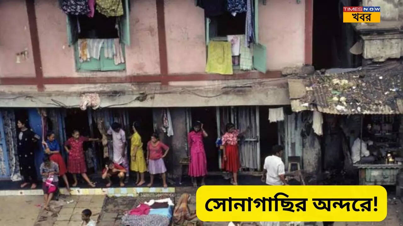 Sonagachi History: এশিয়ার বৃহত্তম যৌনপল্লীর নাম 'সোনাগাছি' কী করে হল ...