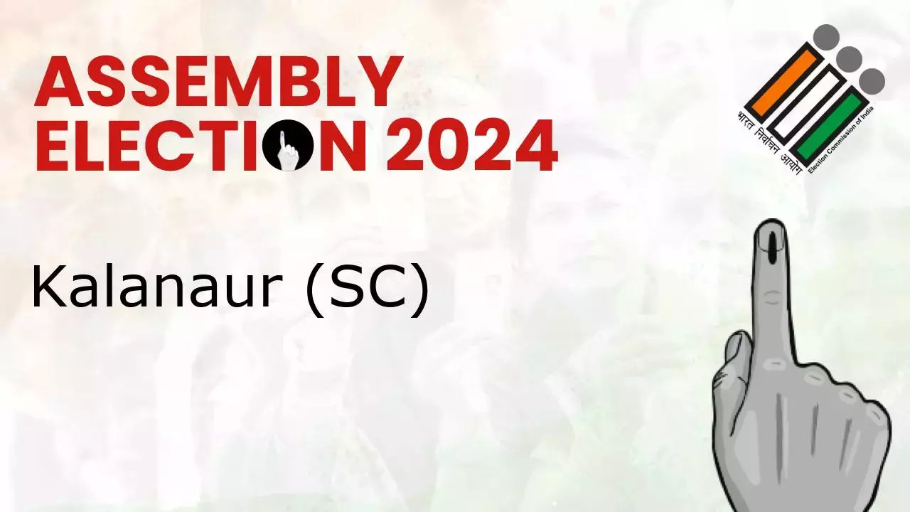 Live Results for Haryana's Kalanaur (SC) Seat: Fierce Competition Among ...