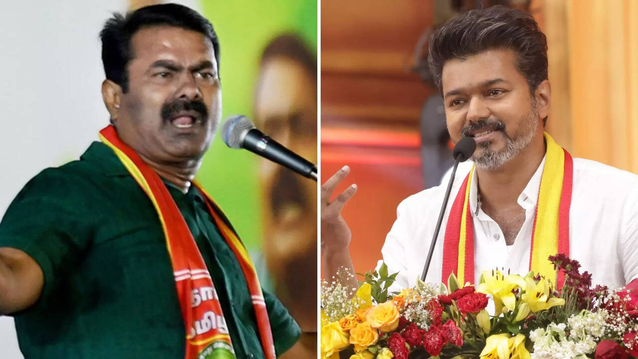 Seeman vs Vijay: சீமானுக்கு பதில் சொல்லிட்டு இருக்க முடியாது.. எங்களுக்கு வேற வேலை இருக்கு ...