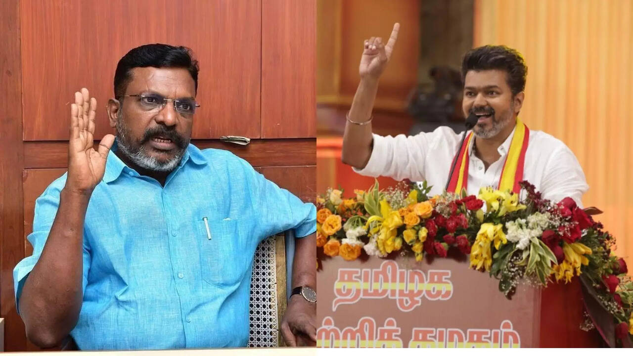 Thol Thirumavalavan And TVK Vijay Book Release: விஜய் போதும், திருமா தேவையில்லை.. இதை ஏன் யாரும் ...