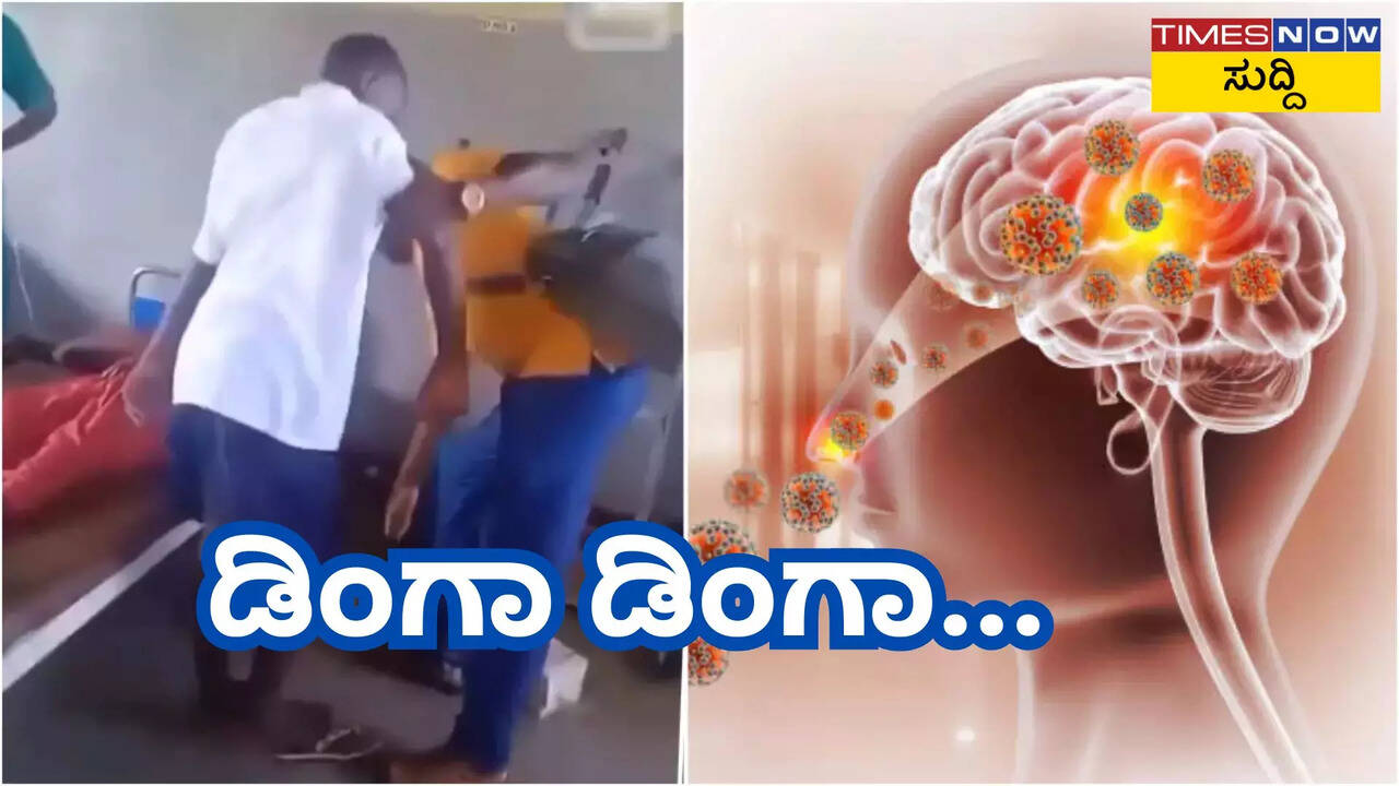 Dinga Dinga virus: ಡಿಂಗಾ ಡಿಂಗಾ ವೈರಸ್ | Times Now Kannada