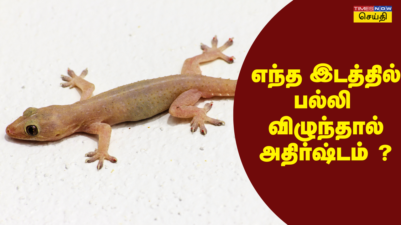 Palli Vizhum Palan Luck 2025: பல்லி விழும் பலன்: எந்த இடத்தில் பல்லி ...