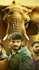 Entertainment News, Bollywood News, Top Celebrity Entertainment TV News ...