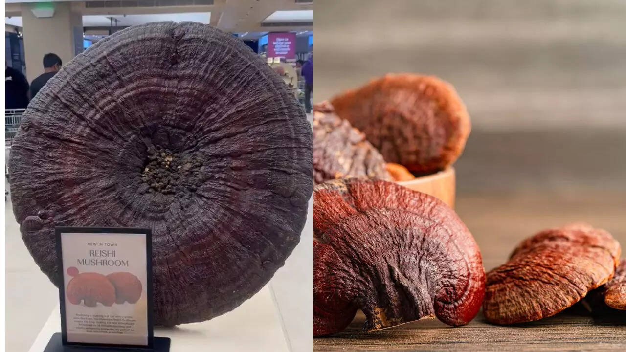 This Hyderabad Store Sells One Mushroom Worth 5 Lakhs Heres Why Its