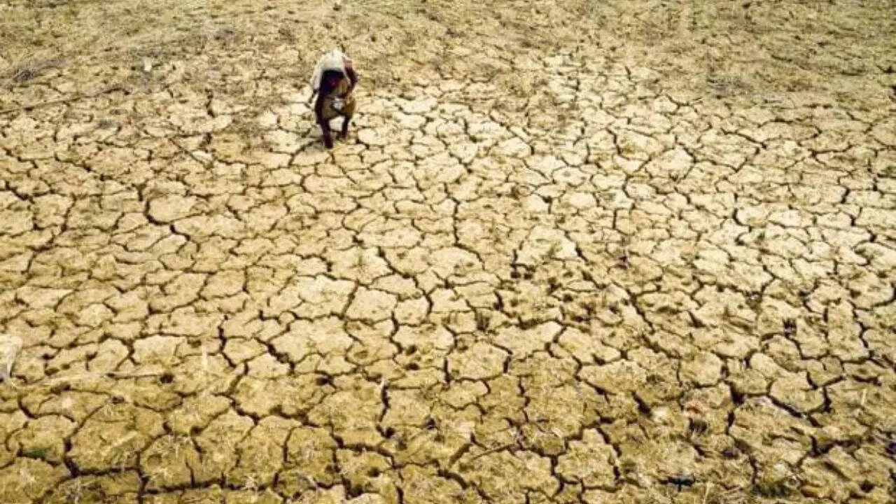 World Is Moving Towards Climate Conflict: Time To Look Beyond Just ...