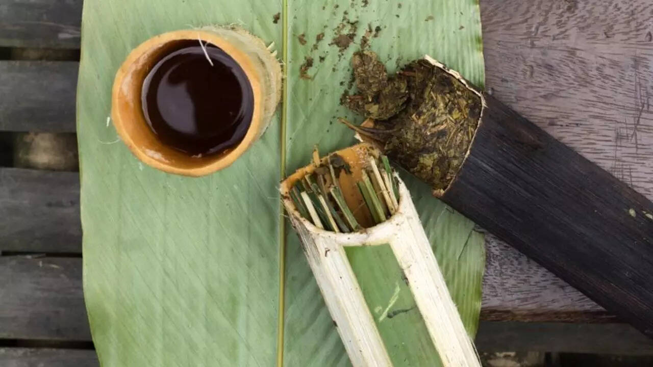 Singpho Phalap Tea, The Bamboo-Smoked Assamese Tribal Brew With A GI ...