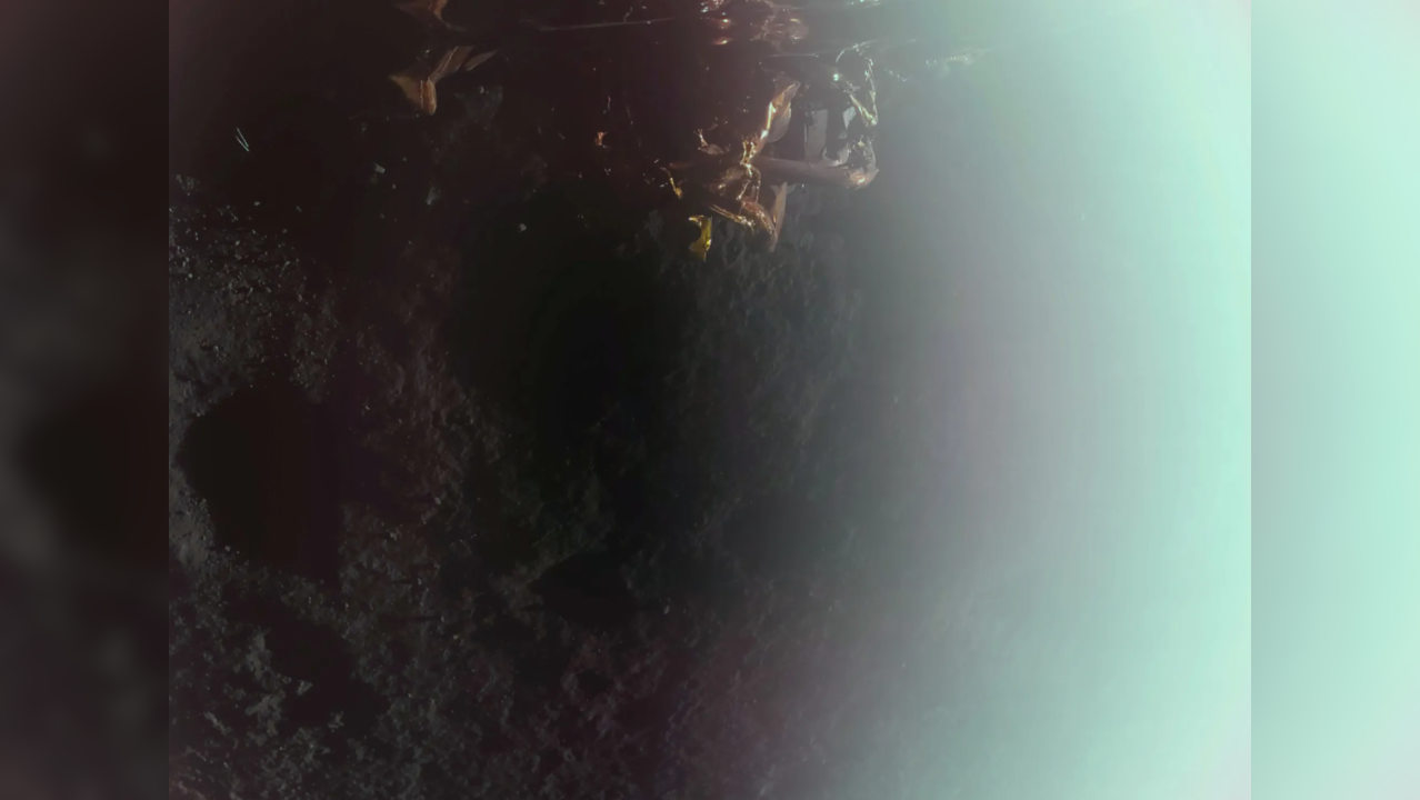 US Firm Firefly's 'Blue Ghost' Lunar Lander Touches Down On Moon, First ...