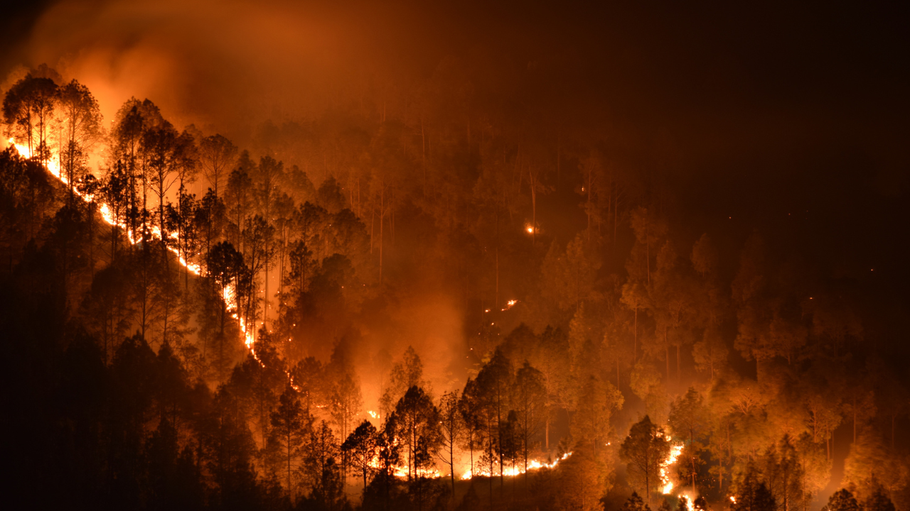 North Carolina Wildfire Map: Saluda, Tyron, And Croatan National Forest Among Affected Areas ...