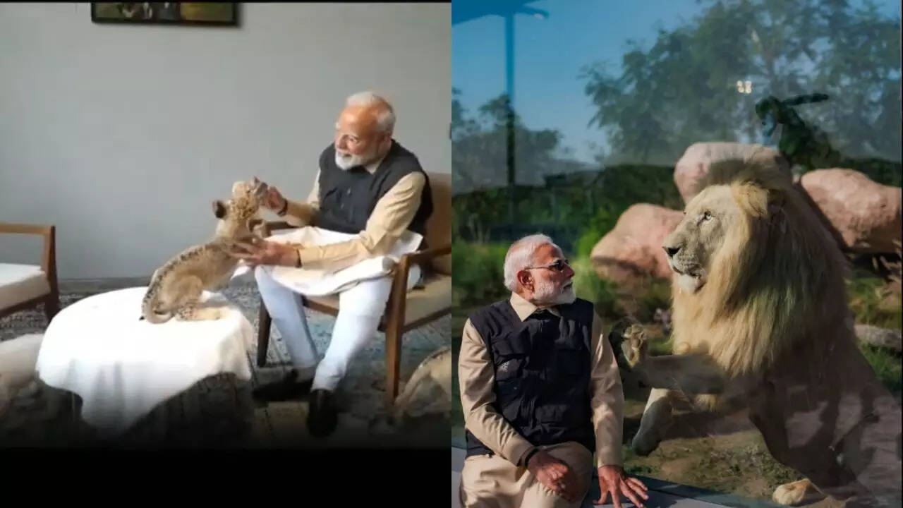 'Lion Meets Lion': PM Modi’s Heartwarming Moments With Rescued Animals ...