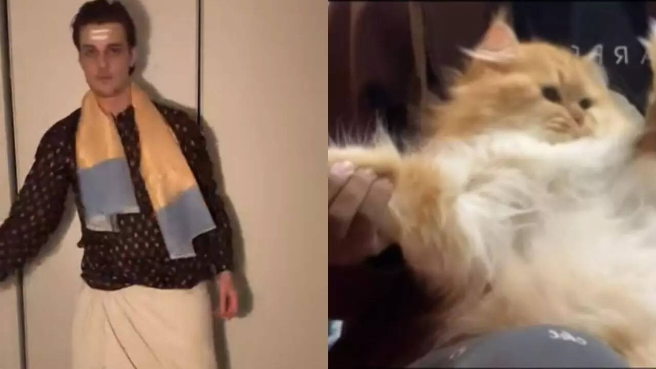 'Dosa Idli Sambhar Chutney Chutney': Viral Song Released In 2022 Is Now ...