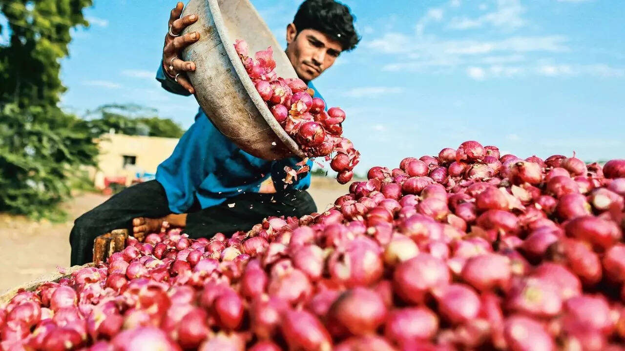 India removes 20% onion export duty starting April 1 | News Minimalist