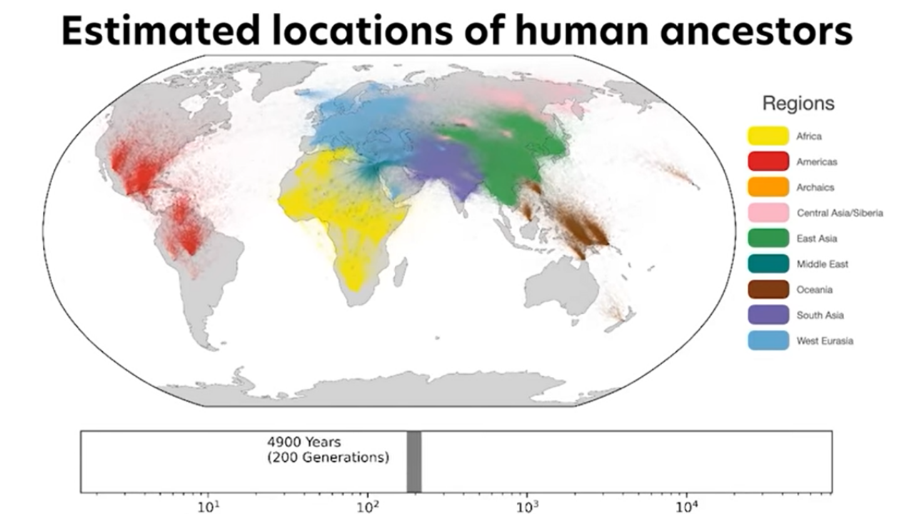 World's largest family tree links 27 million people