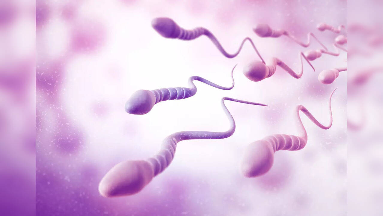 Male fertility: 5 habits that can damage the male reproductive health ...