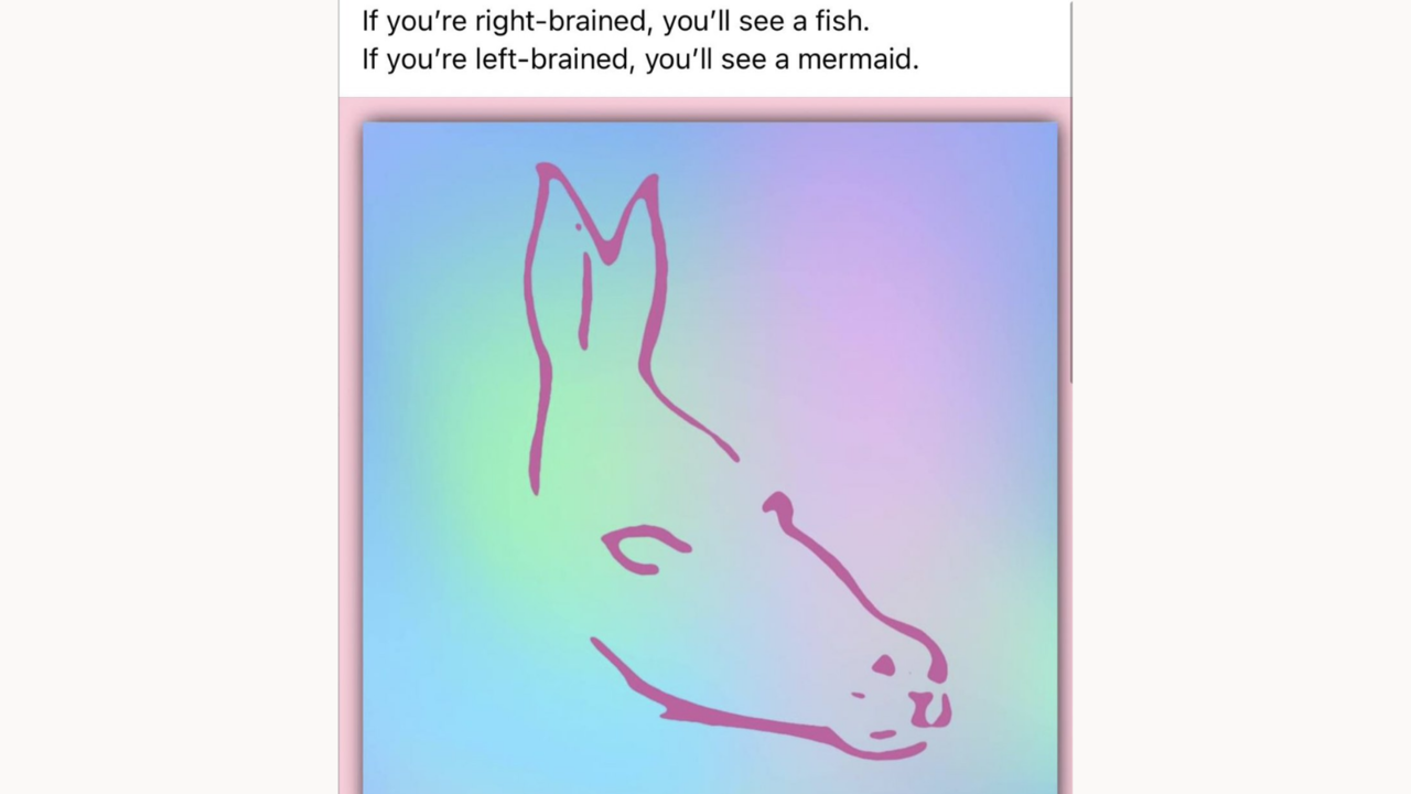 This 'mermaid' optical illusion has left netizens completely baffled ...
