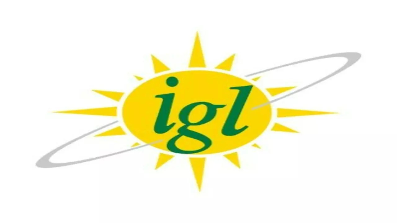 CNG, domestic PNG gets costlier as IGL hikes prices. Check new rates ...
