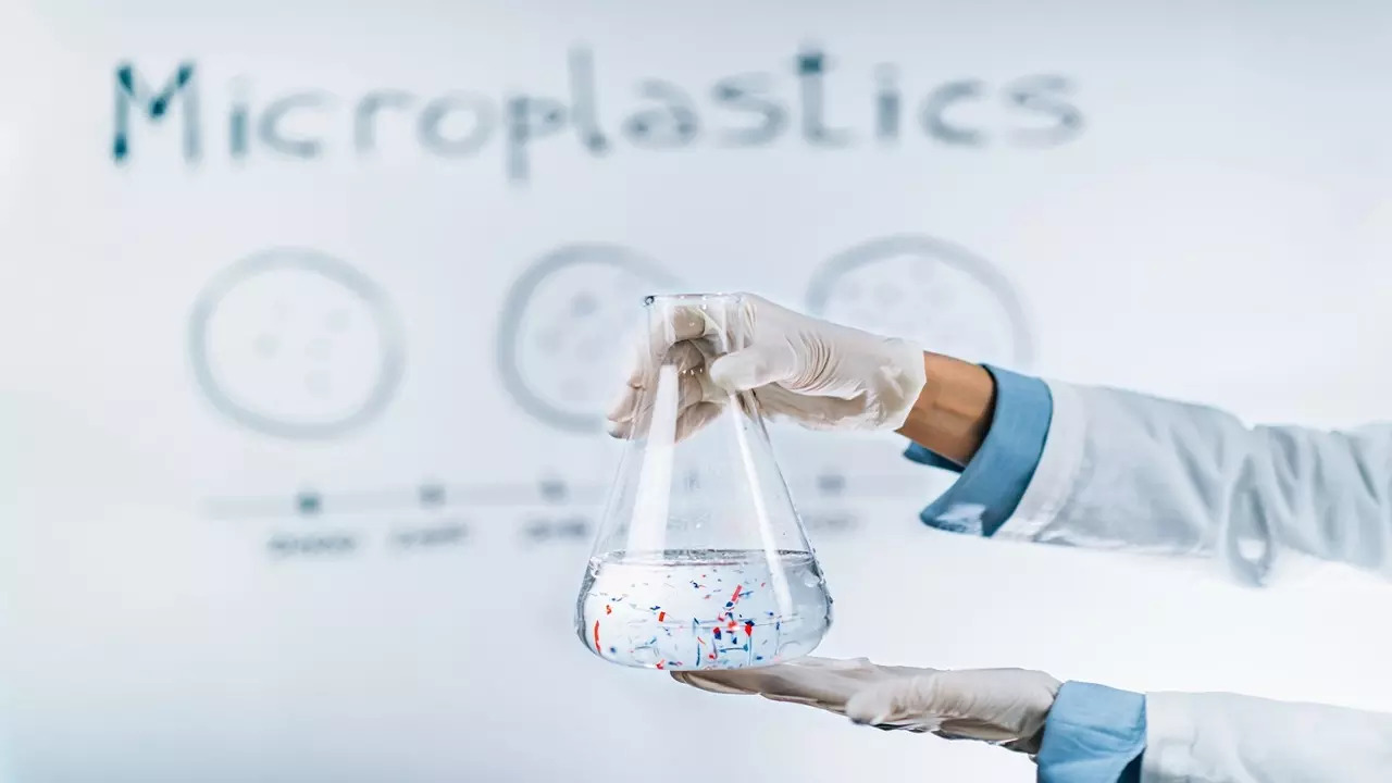 Microplastics in humans: Study reveals presence of tiny plastic ...