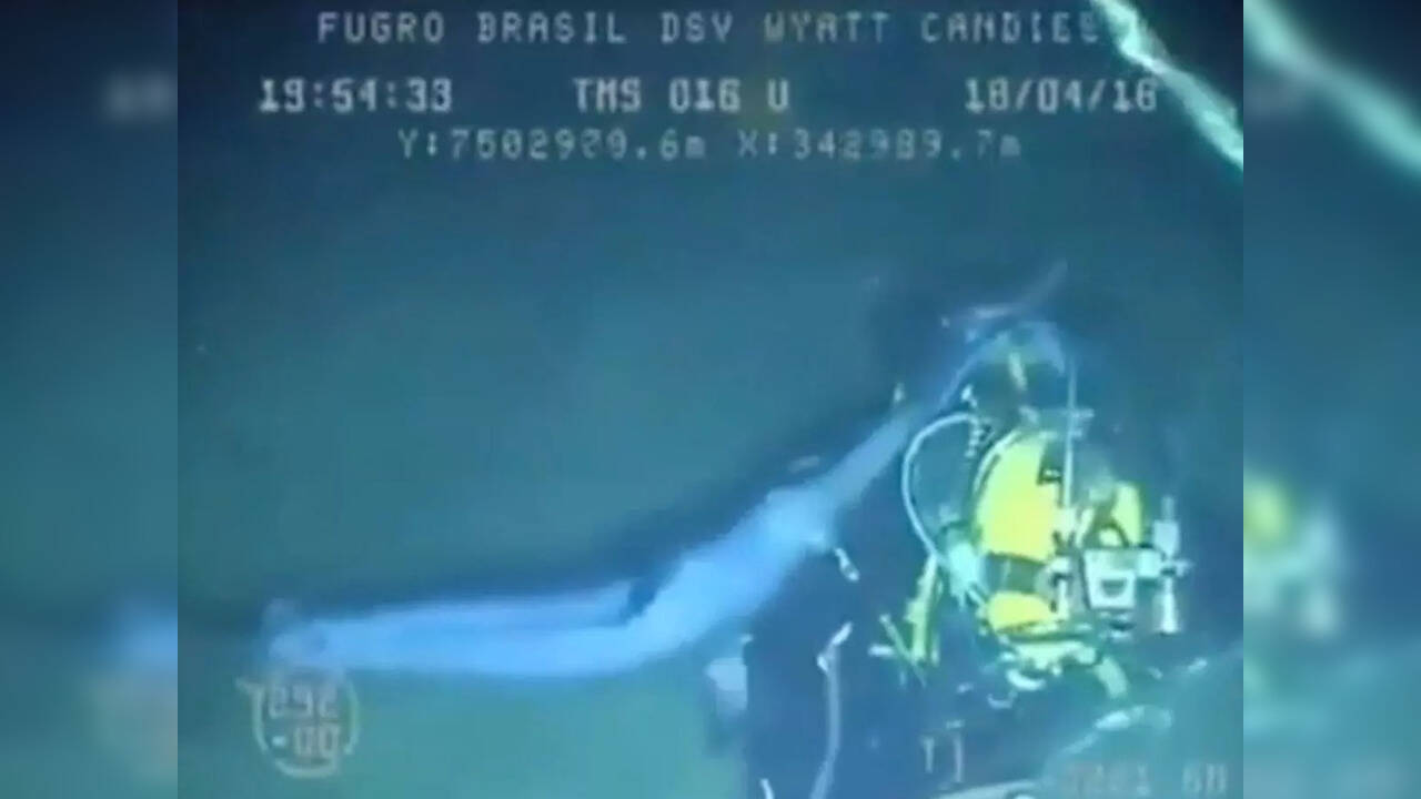 Viral video: The terrifying moment a deep sea diver was attacked by a ...