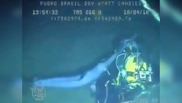 Viral video: The terrifying moment a deep sea diver was attacked by a ...