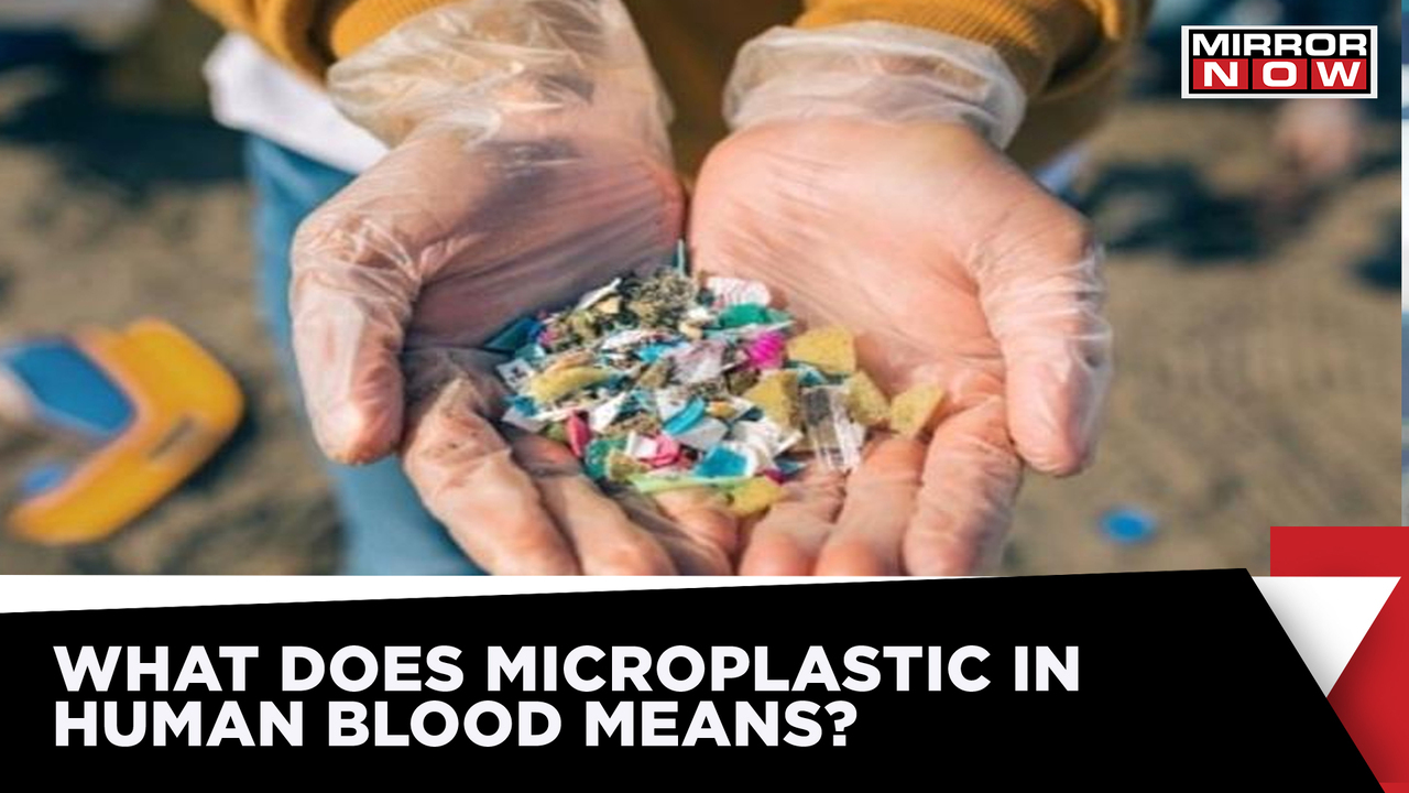 Research Found Micro Plastic In Human Blood, What Does It Mean? | Times Now