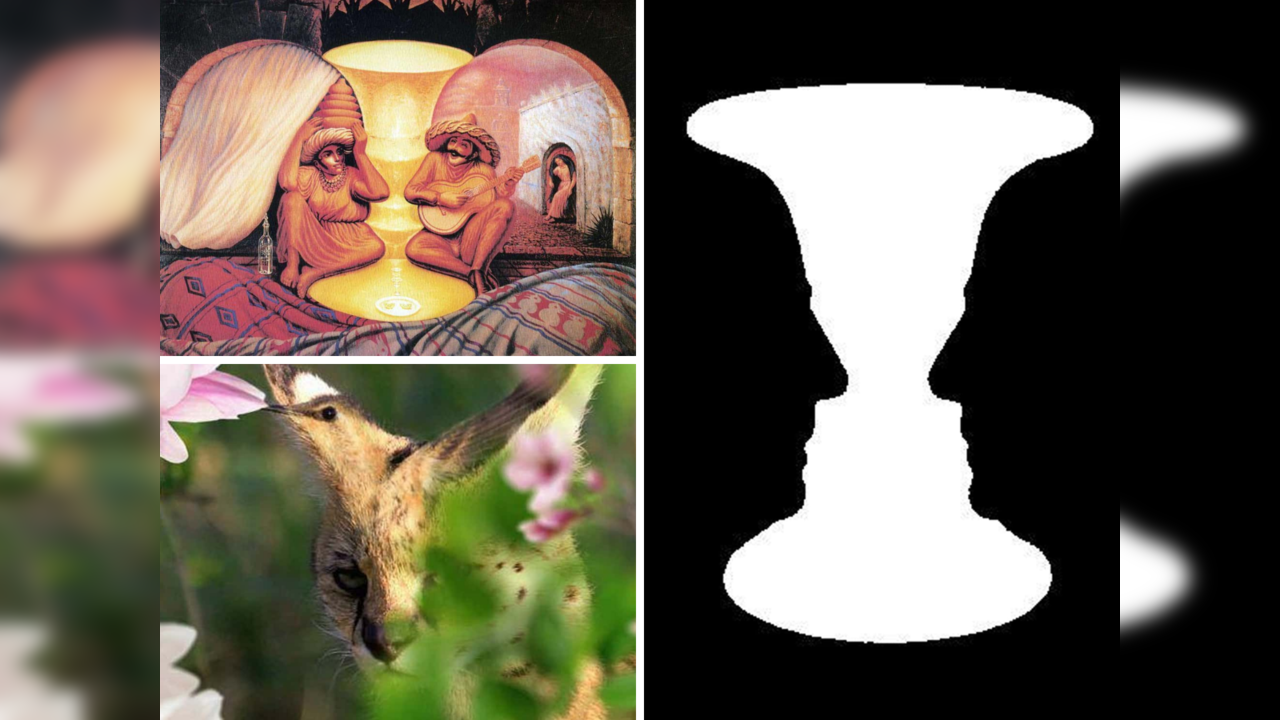 Look closely at these optical illusions, what you see reveals something ...