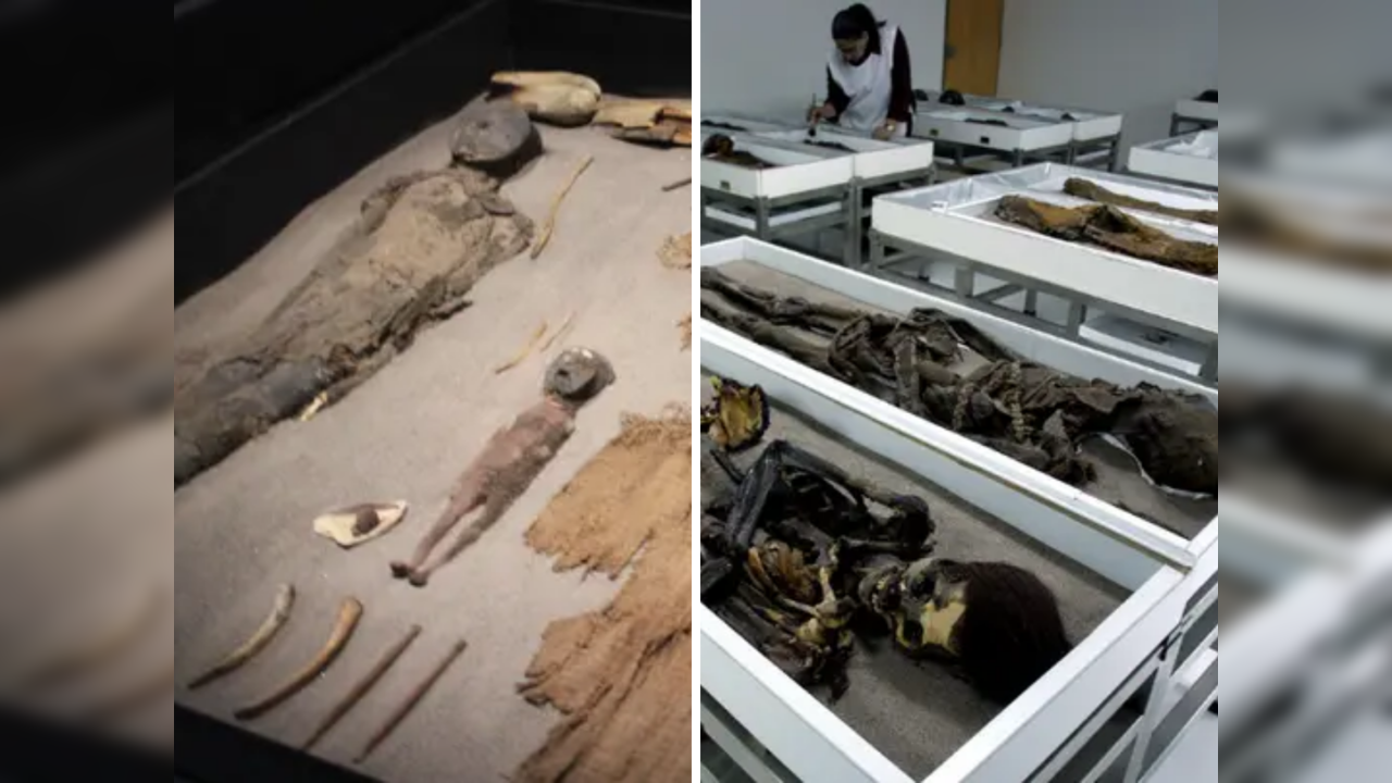 Archaeologists battle to save world's oldest mummies buried deep ...