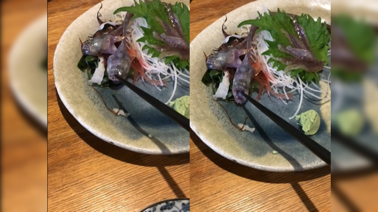 Viral video: This person was going to eat fish served on plate - but it ...