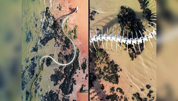 Know the truth about giant 'snake skeleton' on Google Maps thought to ...