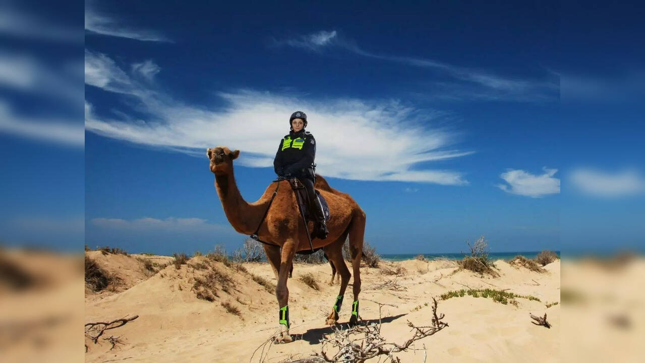 Australian police nails April Fools' Day prank, shows off new Camel ...