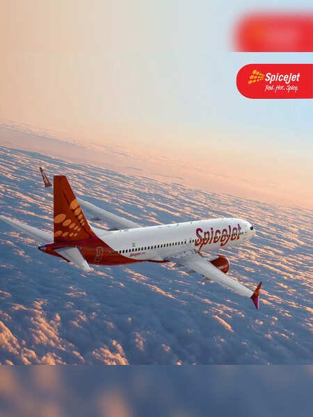 Spicejet - Spicejet News, Video and Photo of Spicejet | Times Now