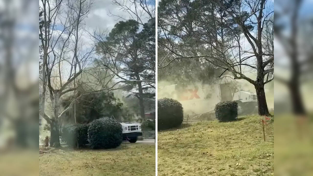 Viral video: Massive pollen-filled tree falls on FedEx truck, unleashes ...