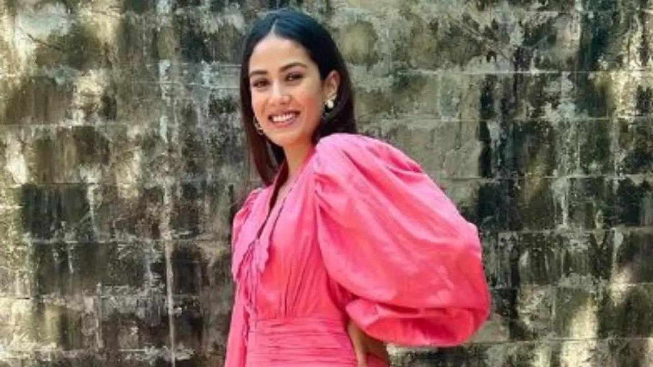 Peter-pan collars to fishnet pants - here's how Mira Rajput has built a ...