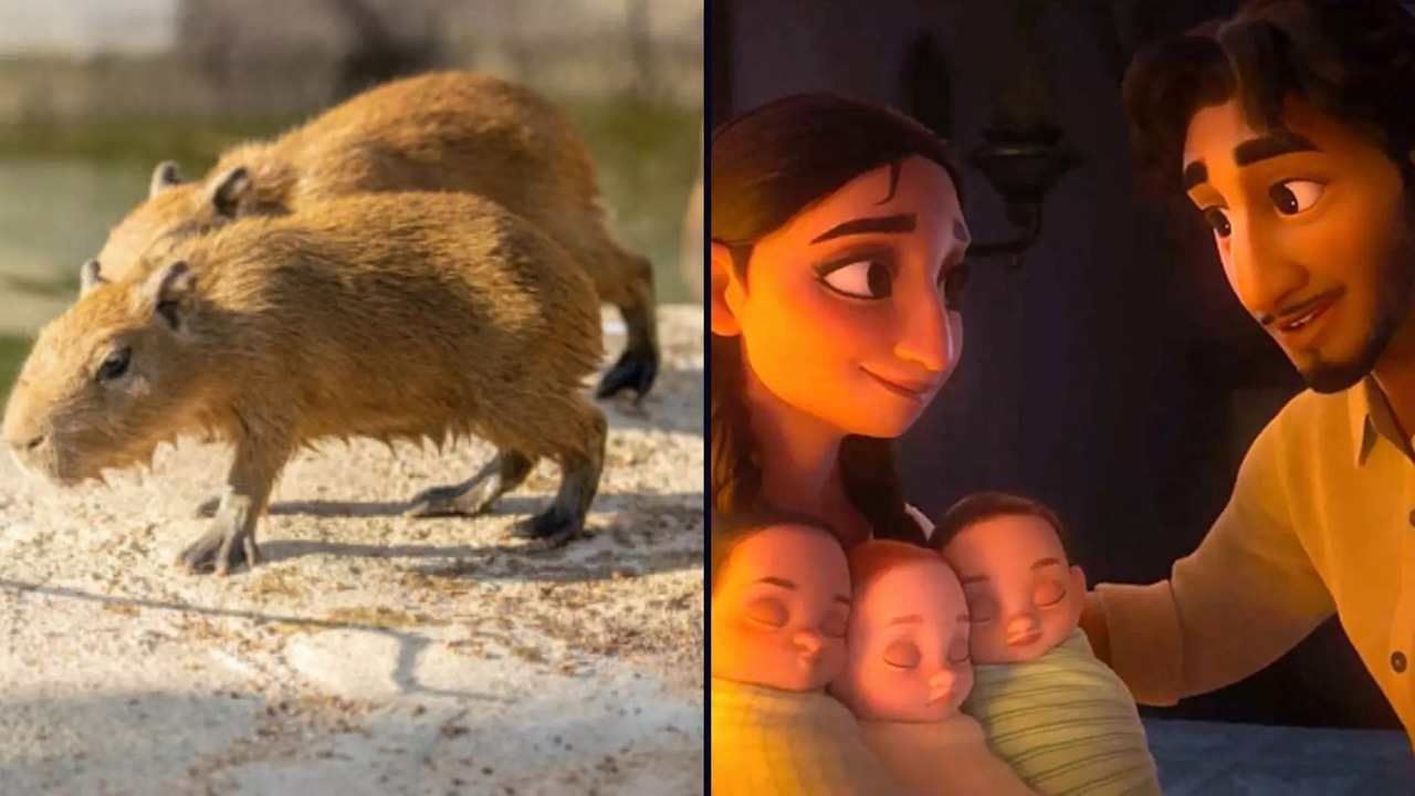US zoo names capybara babies after 'Encanto' movie's beloved characters ...