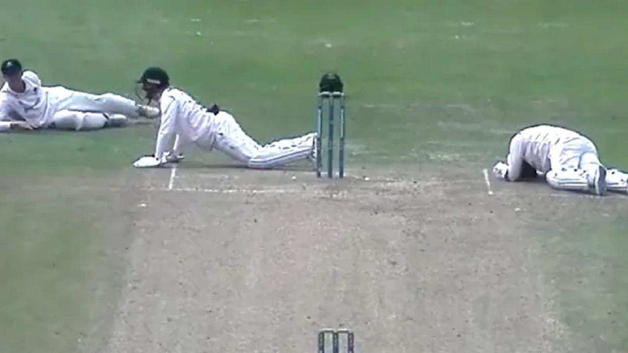 Watch: Bees stop play in county cricket, players lay down to save ...