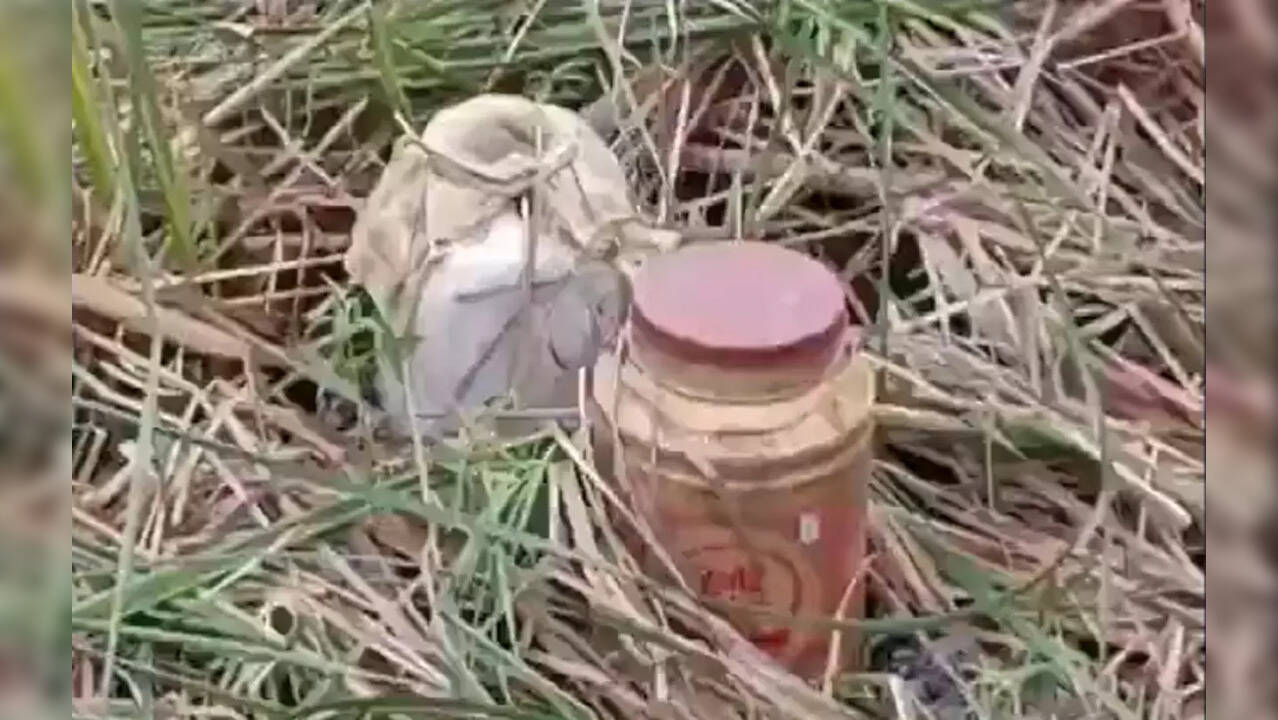 Bombs recovered from West Bengal's East Medinipur; bomb squad at spot ...