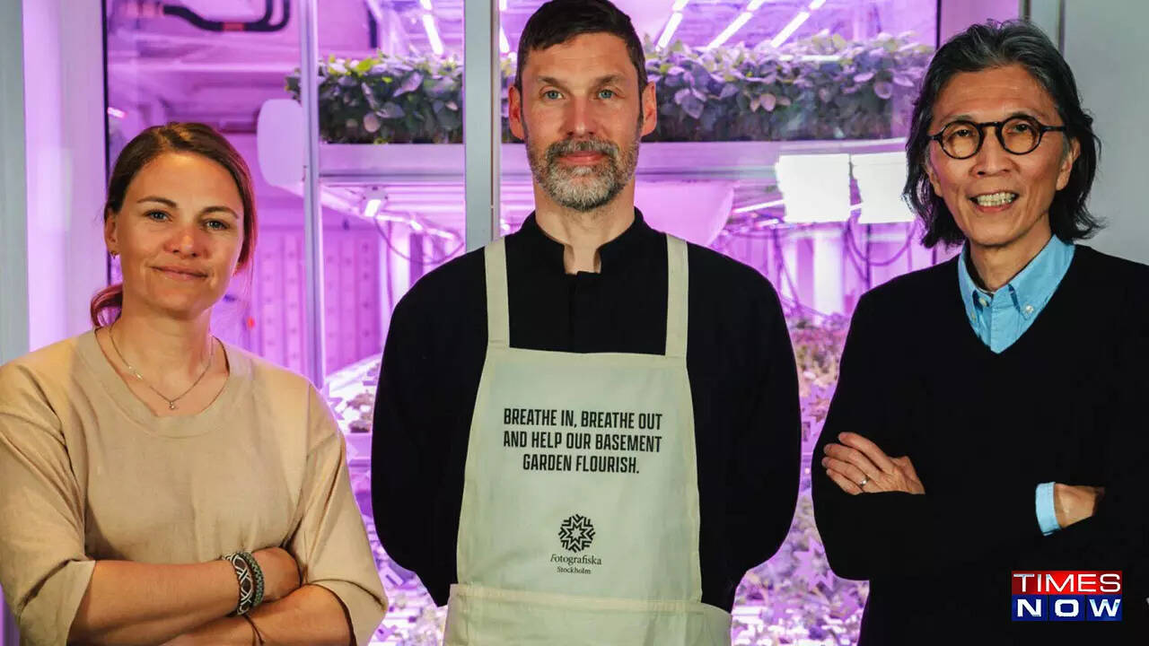 H&M develops a fabric that can absorb CO2 from the surroundings; here ...