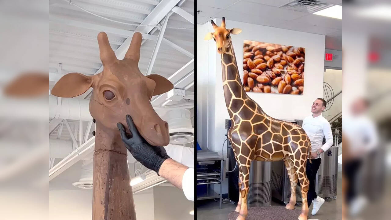 Viral video: Amaury Guichon and his 8-feet-tall chocolate giraffe ...