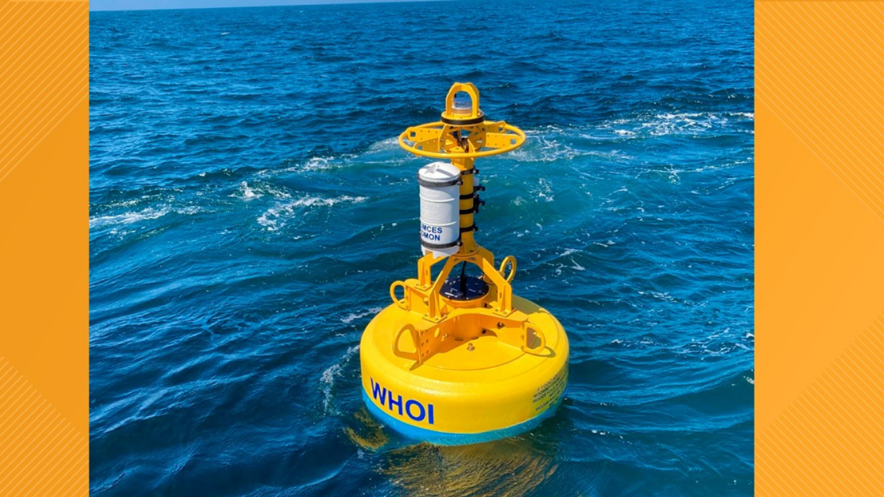 Robotic buoys developed to keep Atlantic right whales safe | Technology ...