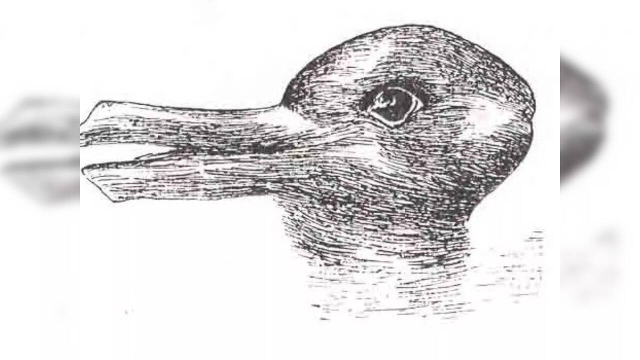 Optical illusion: This 19th century duck-rabbit test reveals if you're ...