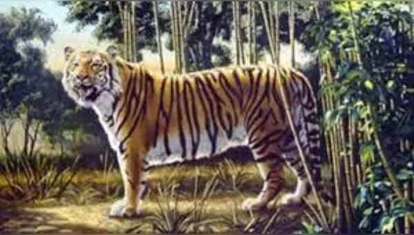 The hidden tiger optical illusion: Can you spot the hidden tiger in ...