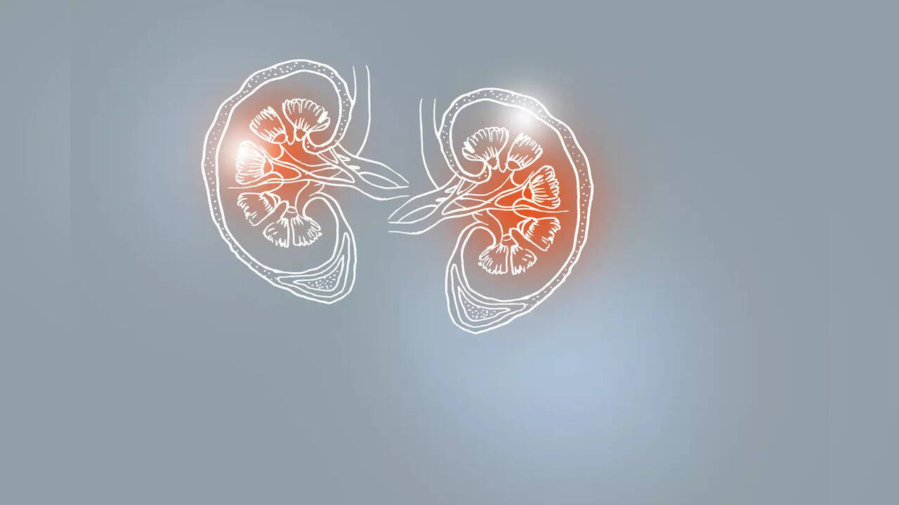 What is Nephritis? Know the causes, symptoms and treatment of this ...