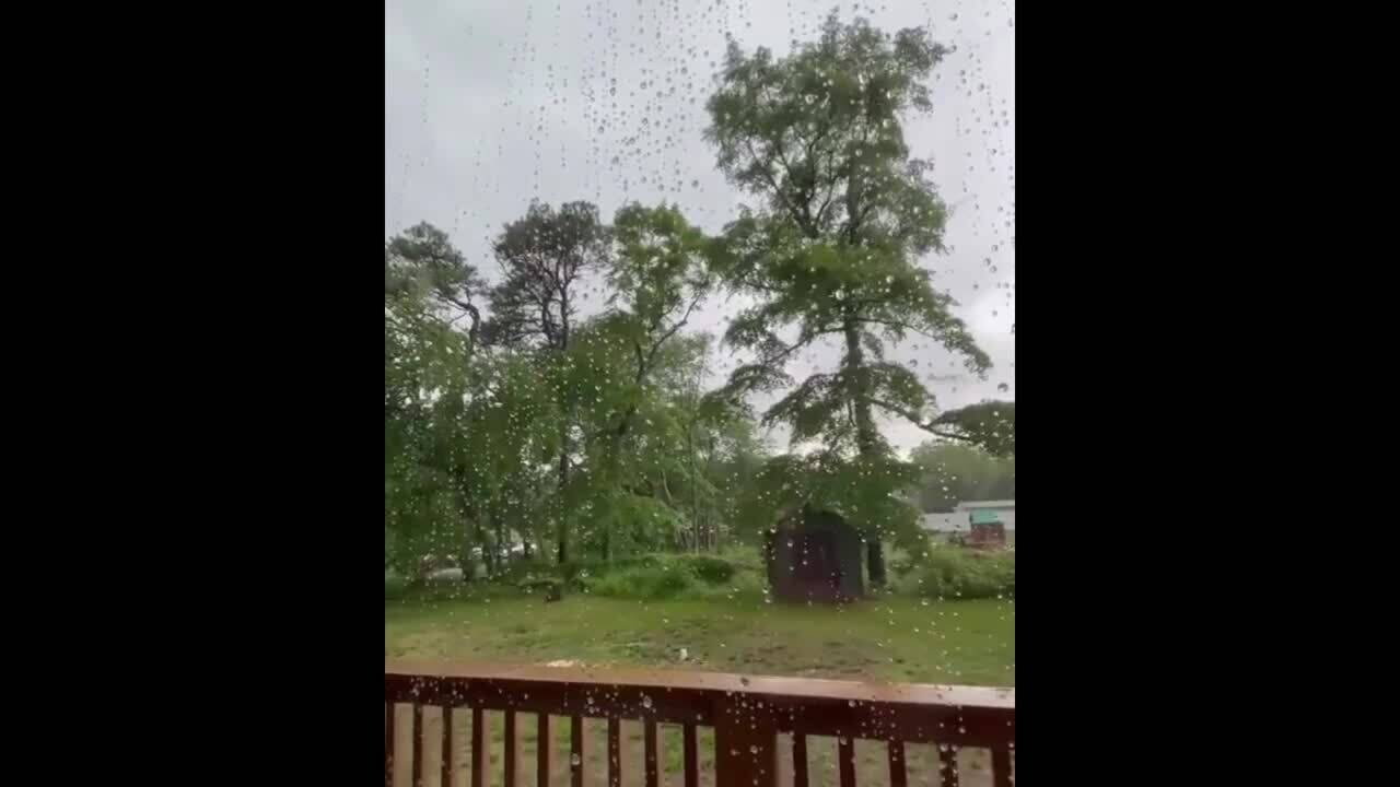 Viral video: Massive lightning bolt strikes tree right in the middle of ...