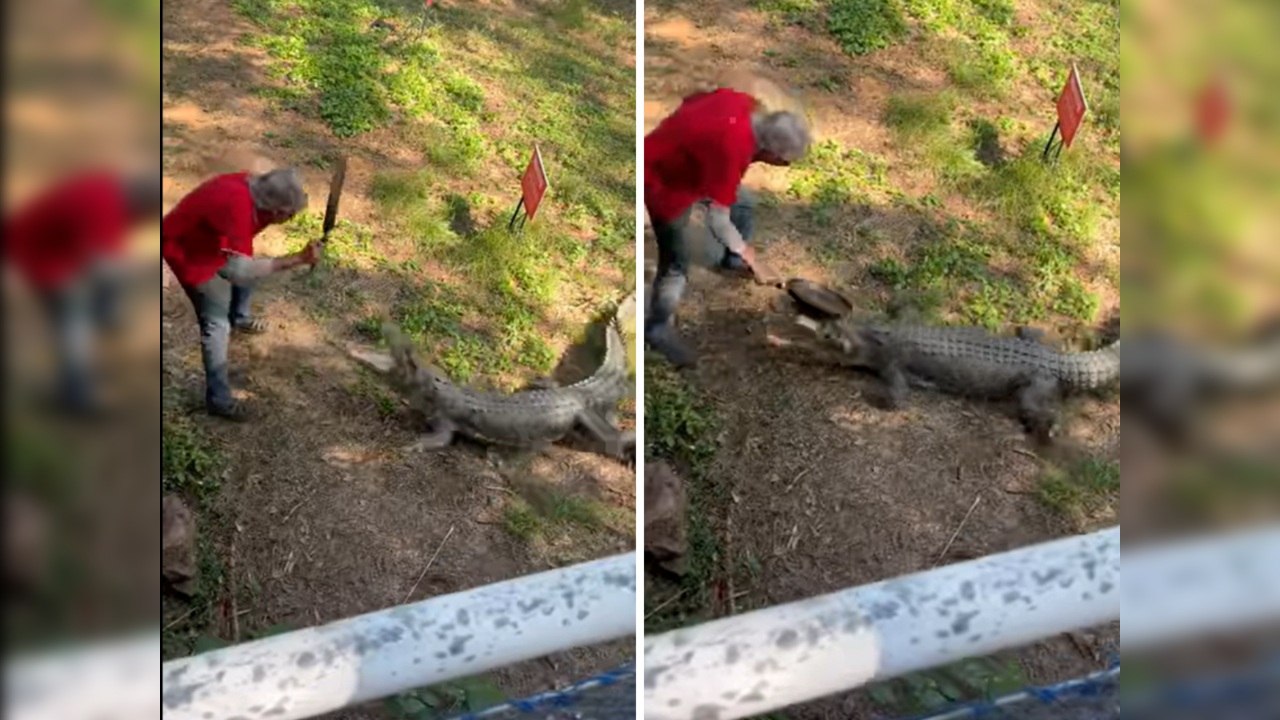 Viral video: Man uses frying pan to defend himself against aggressive ...