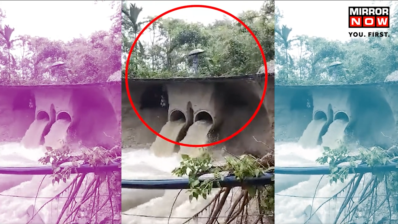 [WATCH] Man Saved by a Whisker as Bridge Collapses in Assam | Times Now