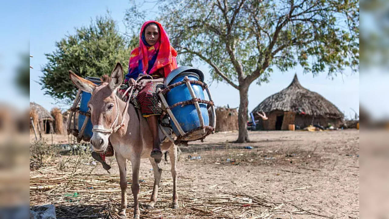 War and famine: UN says 8 million children may die of hunger, time to ...