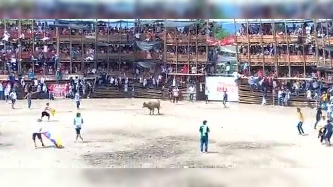 Spectator stand collapses during bullfight; IFS official shares ...