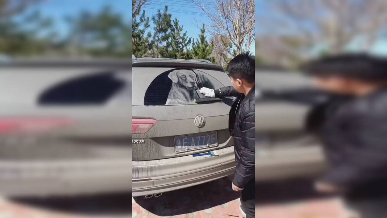 Viral video: Incredible dirt art turns car into a portrait of dog ...