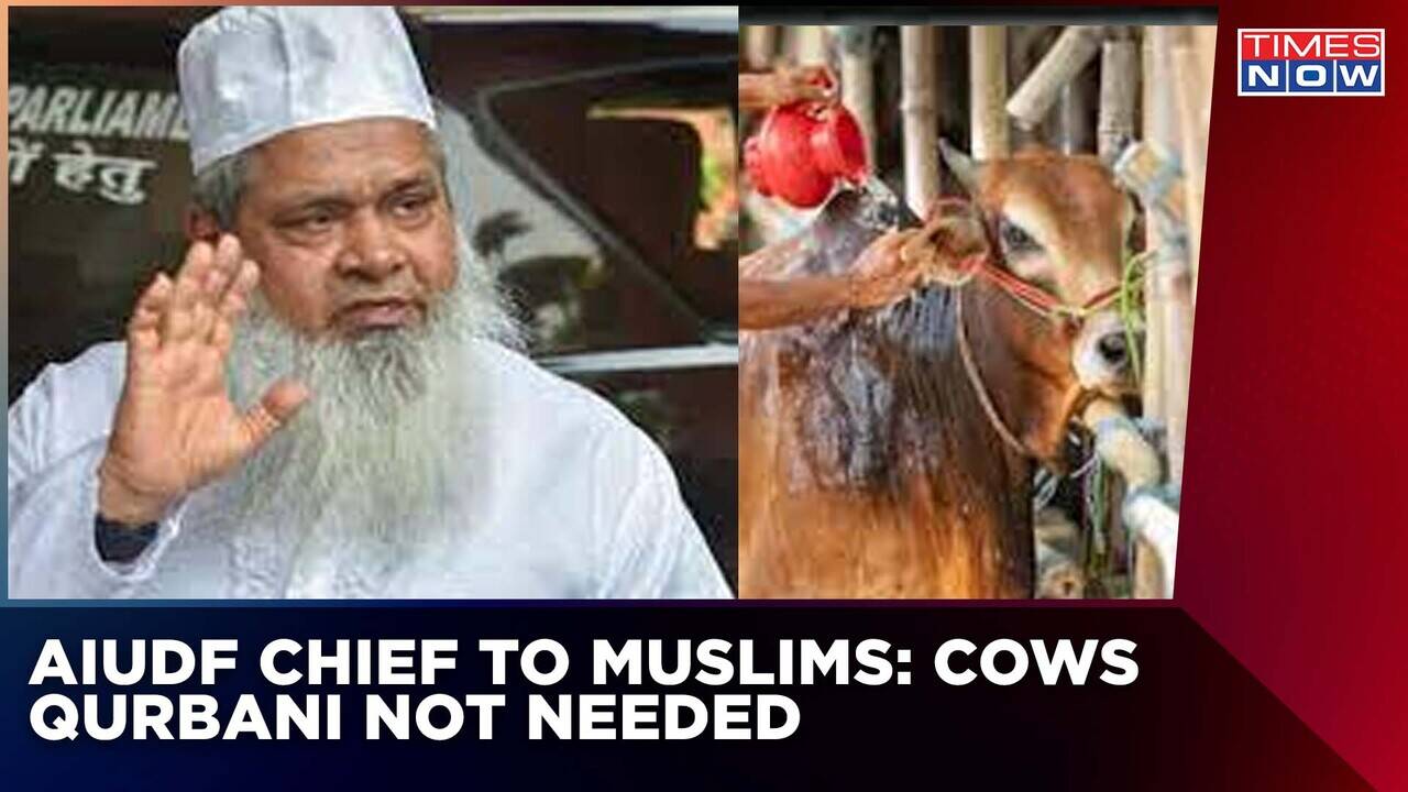 AIUDF Chief To Muslims: 'No Need To Kill Cows In EID, Cow Is Mother For ...