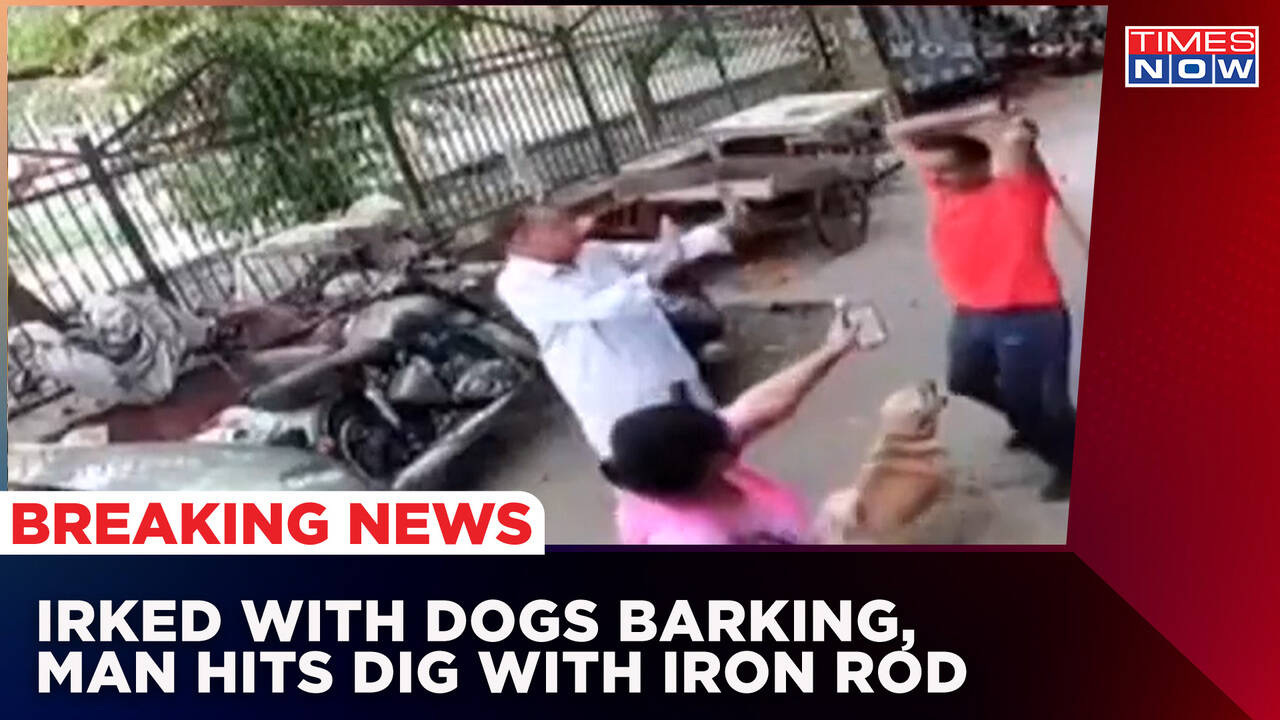 Animal Cruelty Caught On Cam: Irritated Over Barking Of A Pet Dog, Man ...